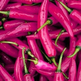 Lush Design On Instagram Hot Pink Chilli Peppers 💗” Stuffed Peppers