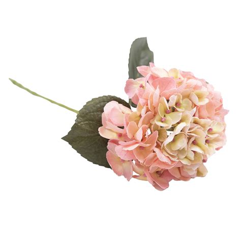 Hydrangea Pink Beige Real Touch Silk Flower Stem 65cm Plant Couture Francisco Plant Couture