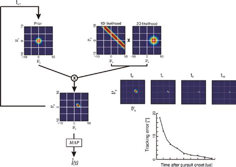 5 A Dynamical Bayesian Model Of Motion Integration Ambiguous I E Download Scientific Diagram