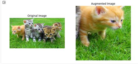 Data Pre Processing With Datasets And Data Loaders