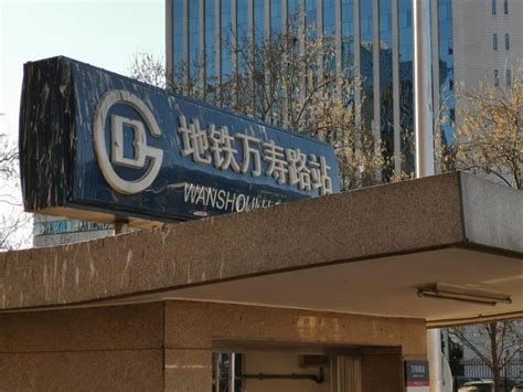 海淀万寿路乌鸦成 灾”，专家称乌鸦聚集系历史原因