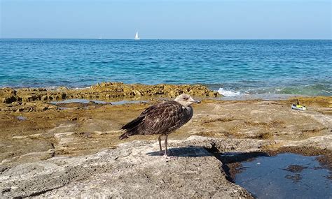 Building Docker Images With Private Python Packages By Bojan Mihelac Medium