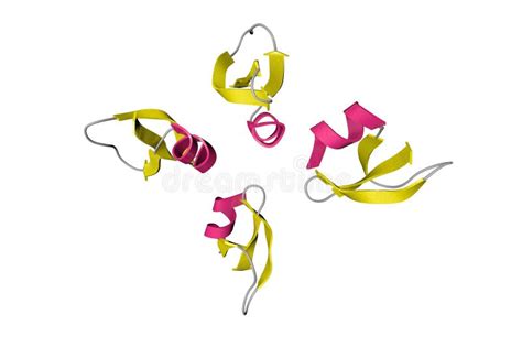 Human Beta Defensin 1 Ribbons Diagram In Secondary Structure Coloring Based On Protein Data