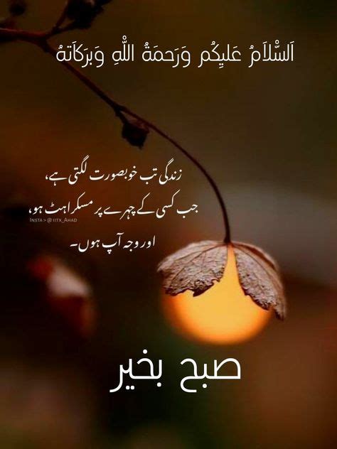 Pin By Mir Javed Akhtar On Subah Bakhair Good Morning Flowers  Beautiful Morning Messages