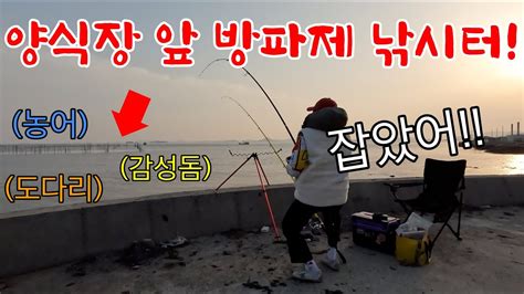 차대고 바로 바다 낚시 할 수 있는 양식장 앞 무료 방파제 낚시터 최고의 물고기가 잡힌다 Youtube
