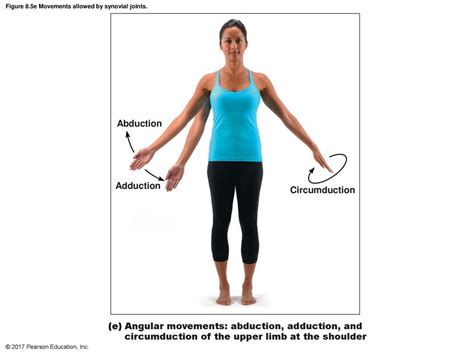 © 2017 Pearson Education Inc Ppt Download © 2017 Pearson Education Inc Ppt Download