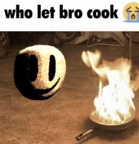 Who Let Bro Cook Fandom