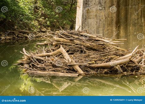 Debris From Flooding And A Submerged Floating Dock Editorial Image