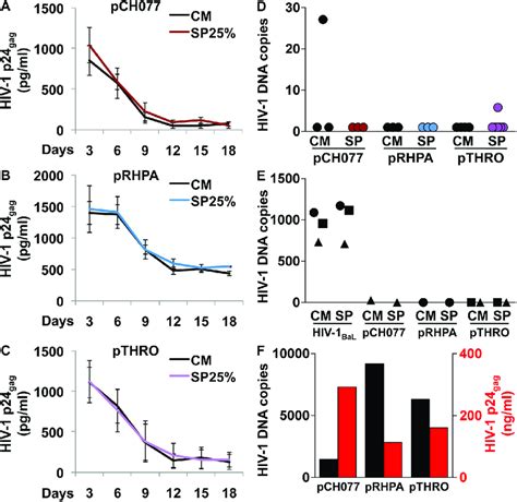Infection Of Ectocervical Tissue Explants With Transmittedfounder