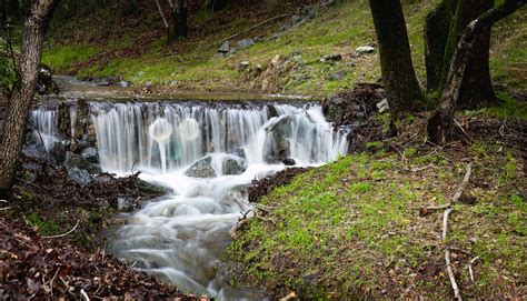 강 개울 경치 고요한 고요함 광야 긴 노출 나무 나뭇잎 녹색 녹지 무성한 물 물을 튀기다 물줄기 민물