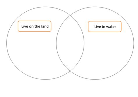 Living Things And Their Habitats Producing Simple Identification Keys For Ks2 And Ks3 Science