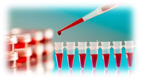 Bioequivalence Studies