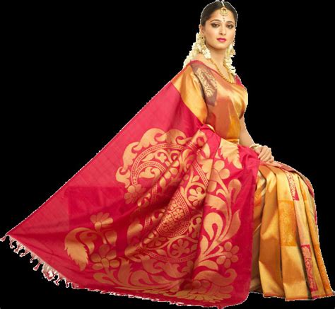 Sexy Transparent Saree