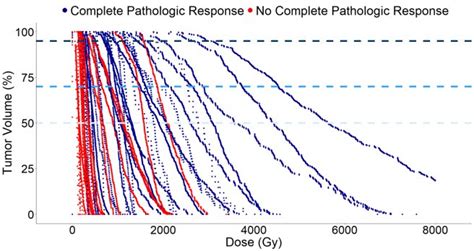 Voxel Based Dosimetry Offers More Personalized Approach For Liver Cancer Treatment Ir