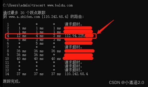 如何查看自己的公网ip 公网ip查询 csdn博客