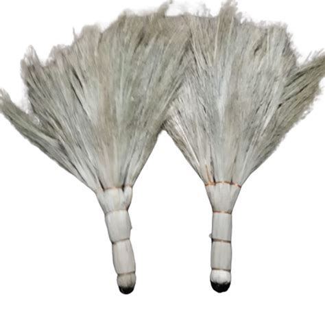 Plastic Floor Cleaning Grass Broom At Rs 22piece In Mumbai Id 24830649291