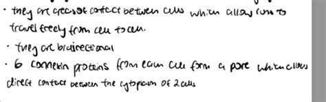 Synaptic Transmission Flashcards Quizlet