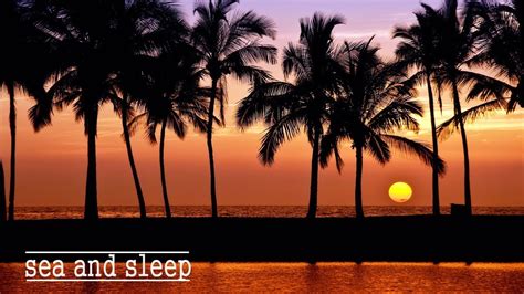 치유 명상음악 연속듣기 마음이 편안해지는 음악 스트레스 해소 음악 이완 효과가 있는 음악 잠잘때 듣는 음악 휴식을 위한 명상음악 Youtube