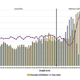 Length Distribution And Sex Ratio Females Males Females By Length Download Scientific