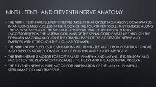 Cranial Nerve Examination For Mbbs Pptx