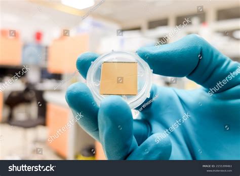 17 Surface Plasmon Resonance 图片、库存照片和矢量图 Shutterstock