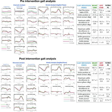 Example Of The Kinematic And Kinetic Analysis Graphs And The Values Example Of The Kinematic And Kinetic Analysis Graphs And The Values