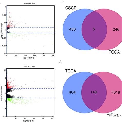 Identification Of Circrna Bound Targeted Mirnas And Mirna Targeted