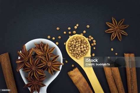 스타 아니 스와 향신료 고 수 풀 씨앗 검은 배경 복사 공간에 계 피 갈색에 대한 스톡 사진 및 기타 이미지 갈색 건강한 생활방식 건조한 Istock