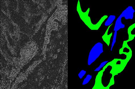 Figure 2 From High Resolution Sar Image Classification High Resolution