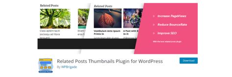 Top 8 Wordpress Related Posts Plugins For User Engagement 2025 Crocoblock