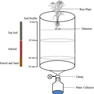 Schematic Diagram Of Soil Column Used In Experiment Download Scientific Diagram