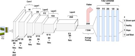 Rice Leaf Disease Identification By Resnet50 Download Scientific Diagram