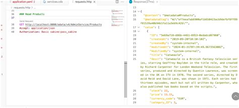 基于sap btp 创建cap for java 示例项目 何以问的 blog