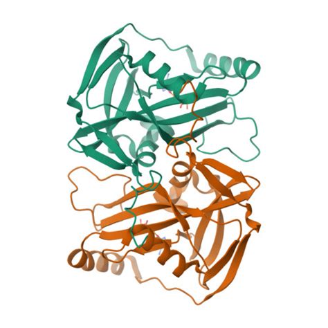 Rcsb Pdb 3bho Crystal Structure Of The 25kda Subunit Of Human