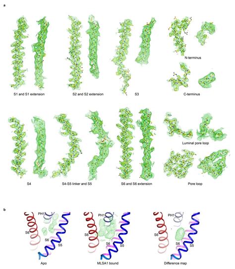 Representative Cryo Em Density Maps A Cryo Em Density Maps And Atomic
