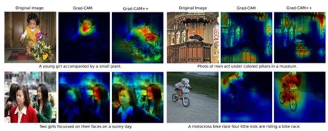 Explanations Of Image Captions Predicted By Cnn Based Neural Network Download Scientific