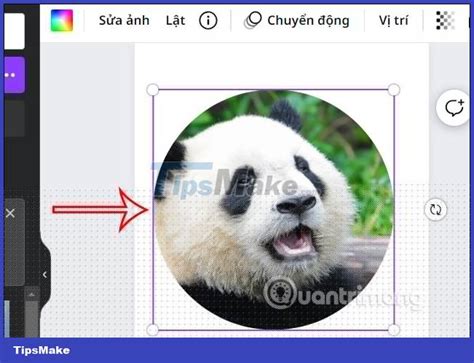 How To Crop An Image Into A Circle On Canva