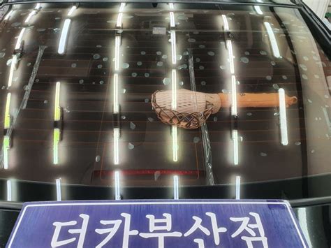 썬팅이 울어요 차유리 틴팅 기포 해결 뒷유리 교체 비용 후면 재썬팅 열선손상안하고 선팅 재시공 부산 차량썬팅 업체 추천 금정구 썬팅점 자동차 썬팅 제거방법 썬렉스 더카부산점