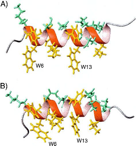 Structures Of Gp41[282 304] In A Q ס 0 25 Bicelles And B Dhpc Download Scientific