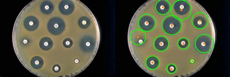 Python How To Improve Accuracy Of Cv2s Houghcircles Stack Overflow