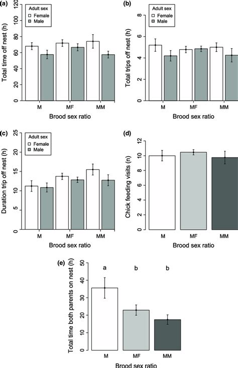 Sex Specific African Penguin Parental Investment According To The Brood Download Scientific