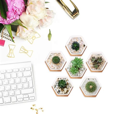 Badu Bg Обикновена бяла творческа керамична малка шестоъгълна саксия за сукулентни растения с