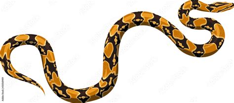 Vector Python Stock Vector Adobe Stock