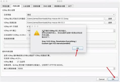 MacOS Qv ray 客户端 Xray VLESS TCP XTLS 节点的参考配置详细图解教程 爱远眺
