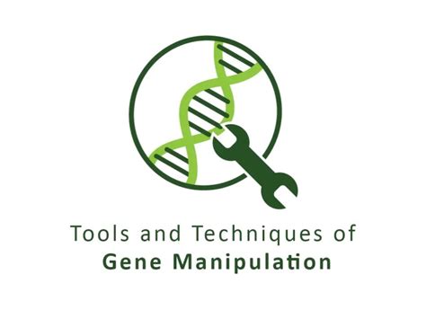 8 tools and techniques of gene manipulation