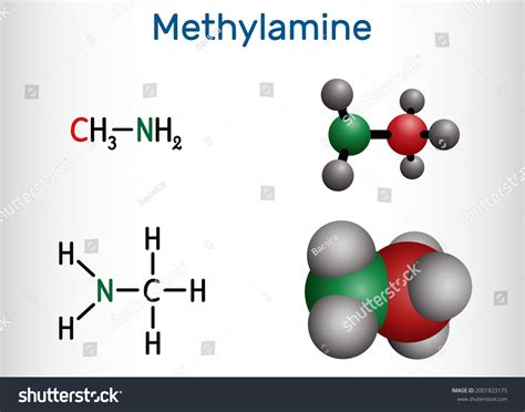 Methylamine Structure