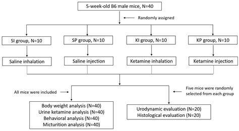 Ketamine Inhalation Alters Behavior And Lower Urinary Tract Function In