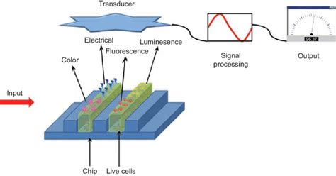 Schematic Description Of A Biochip Based Detection System See Colour Download Scientific