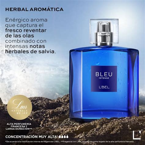 Los 9 Mejores Perfumes Para Hombre Lbel Sibela