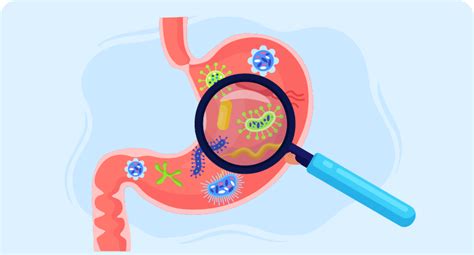 Amebiasis Awareness Prevention Diagnosis And Care Medtigo Courses